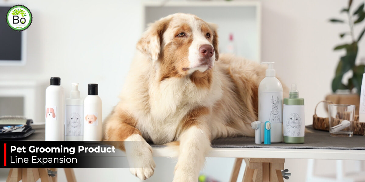 How Contract Manufacturing Can Scale Your Pet Grooming Product Line ...